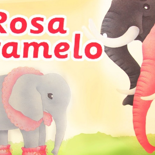Rosa Caramelo – EHOYWEB.ES