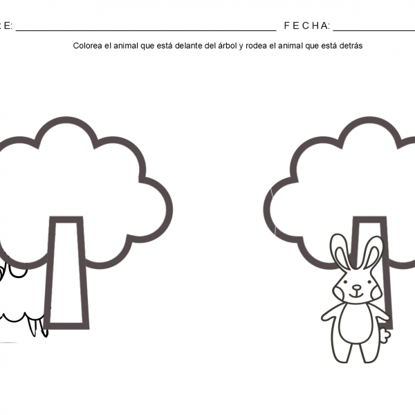 Tarea 86: DELANTE-DETRÁS – EHOYWEB.ES
